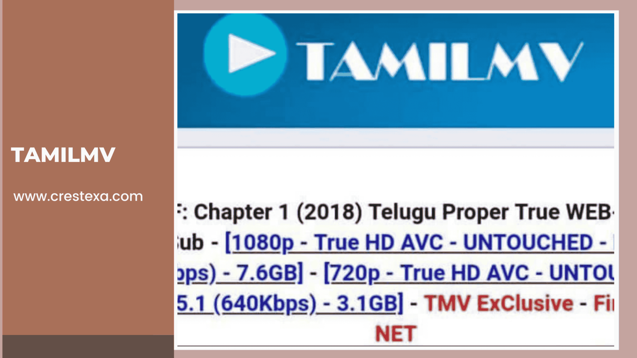 Accessing TamilMV Safely: In-Depth Guide to Proxies and Alternatives ...